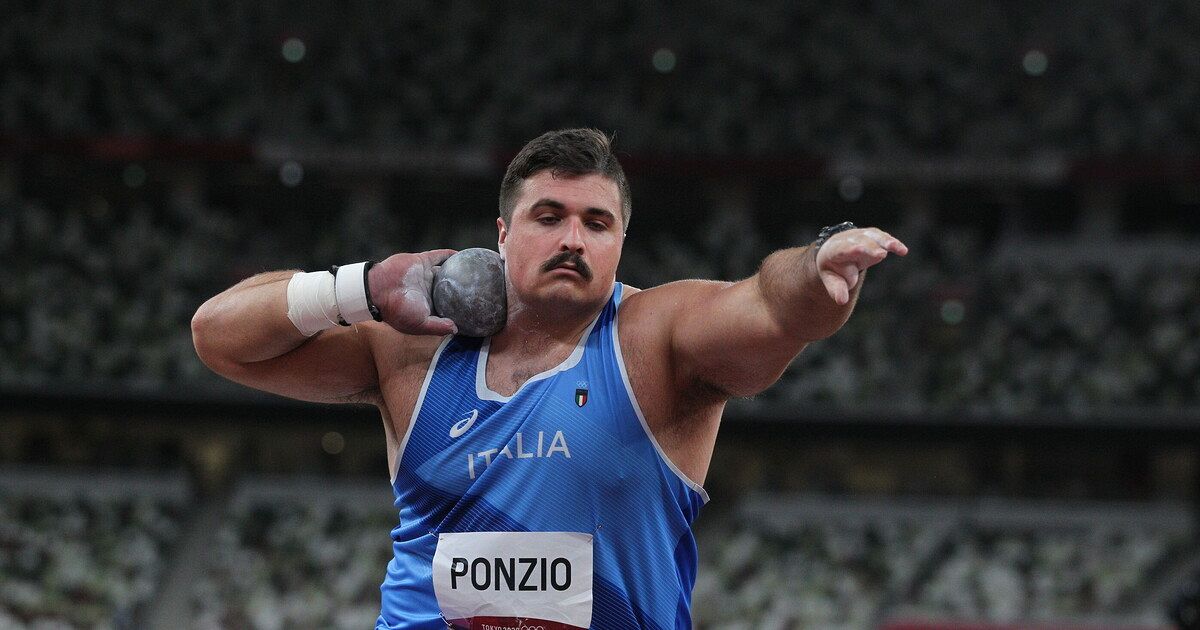 Ancora soddisfazioni per il pacecoto di origine Nick Ponzio • Prima ...